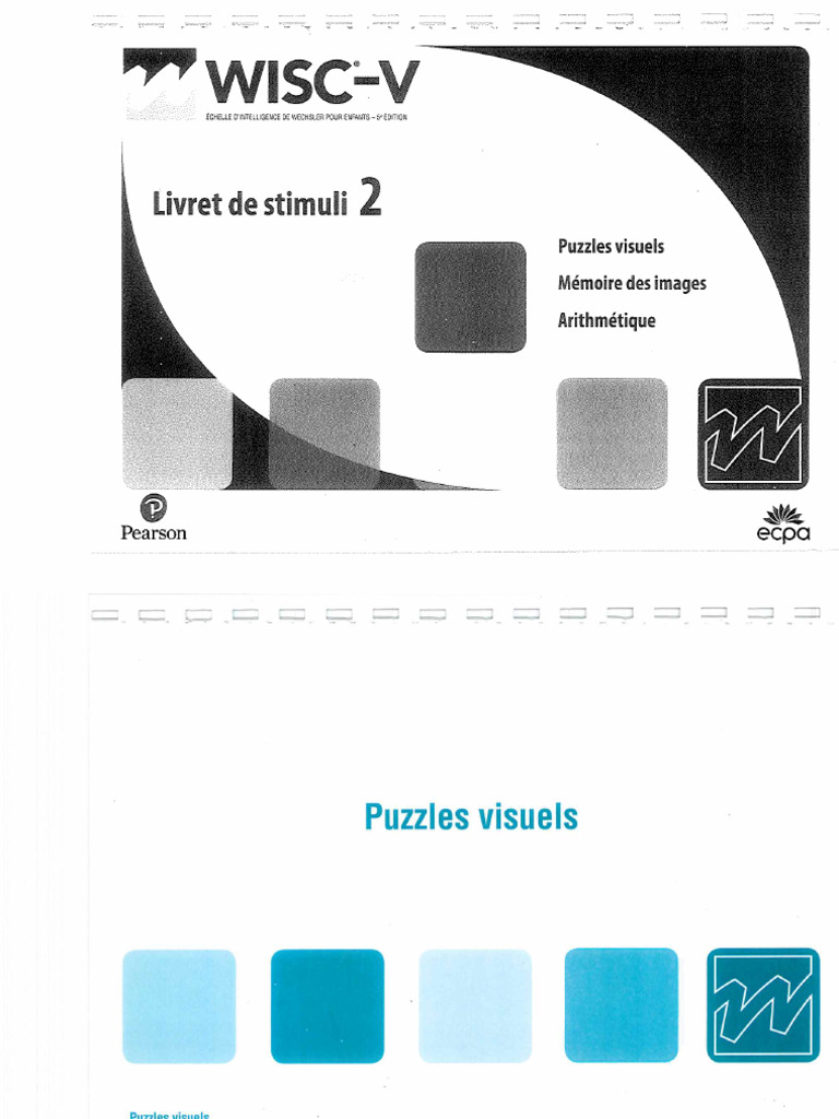 Wisc - Puzzles Visuels - Mémoire Des Images - Arithmétie | PDF