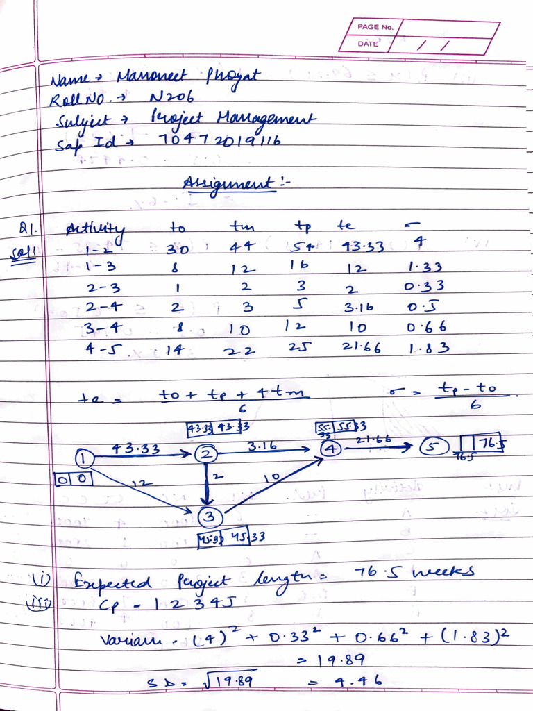 N206 PM Assignment | PDF