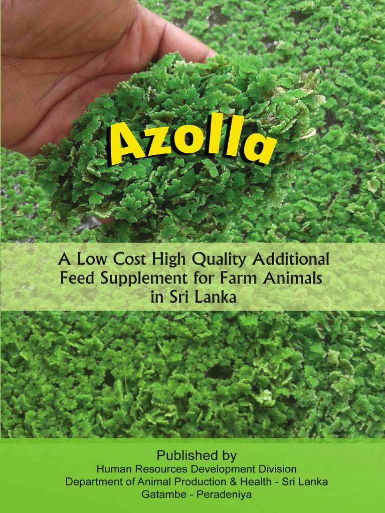 Azolla Final English Book | PDF | Soil | Manure