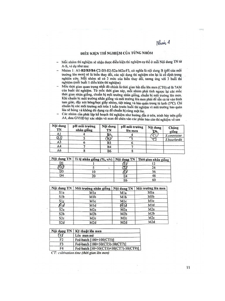 Bao Cao TN Len Men - Nhom 4 - PRFT415350 - 10CLC | PDF