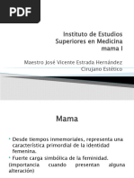 Anatomía y Función de la Mama Femenina | PDF | Pecho | Anatomía humana