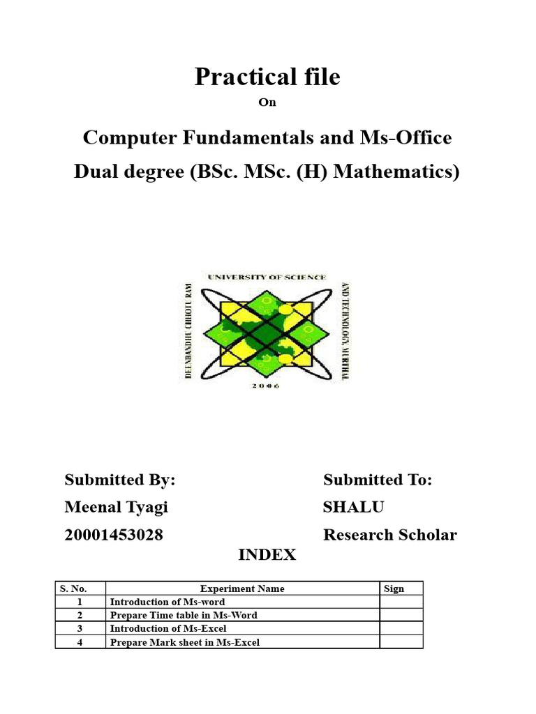 Fundamental Practical File | PDF | Microsoft Excel | Microsoft Word
