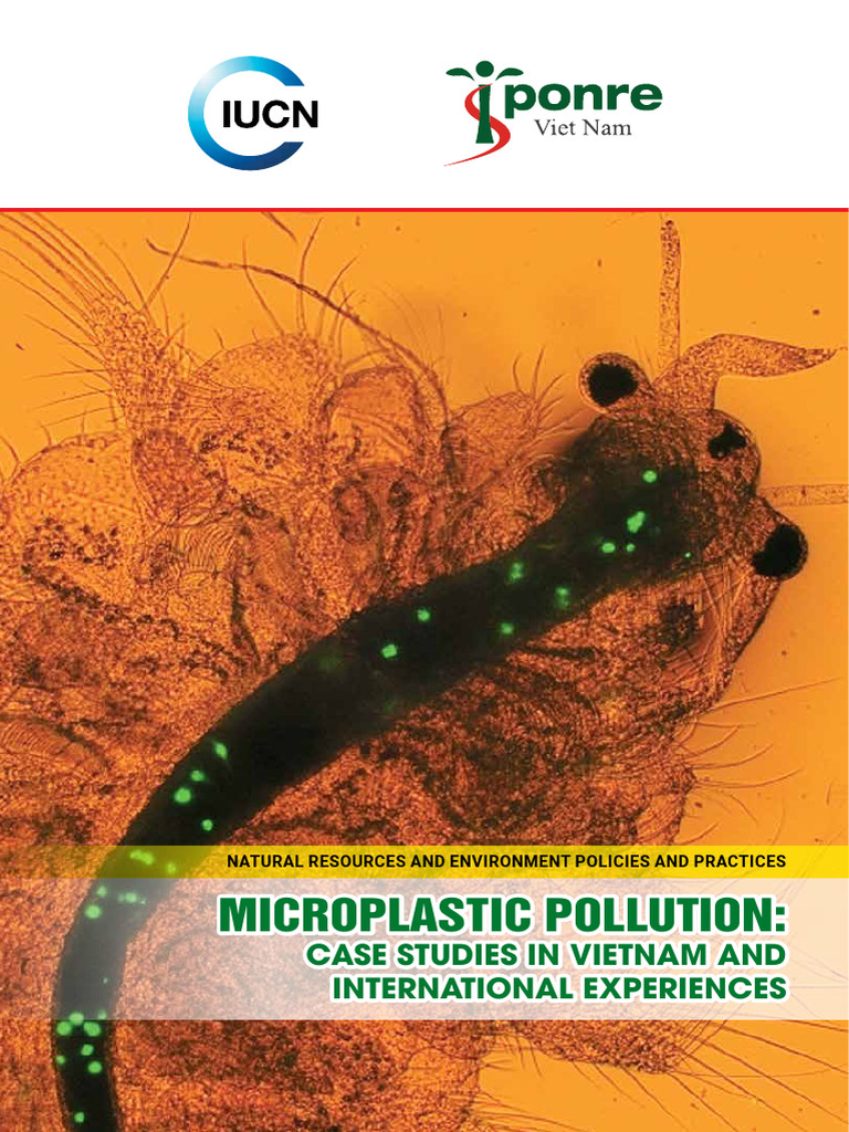 Microplastic Pollution in Vietnam | PDF | Recycling | Vietnam