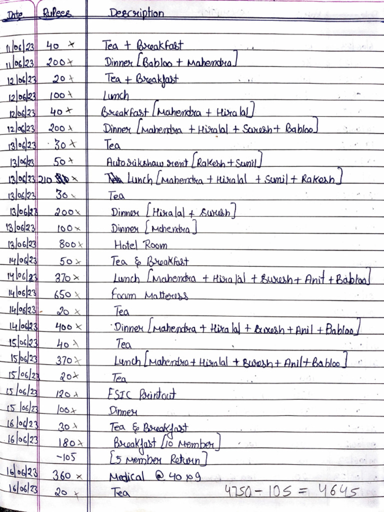 Daily Expences | PDF