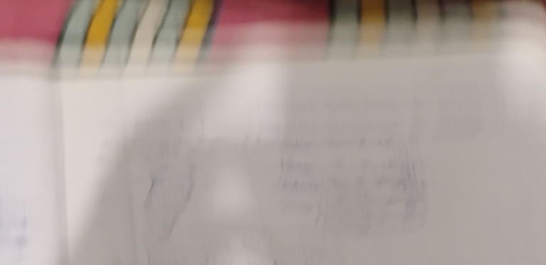 Scanned 20240601 145311 | PDF