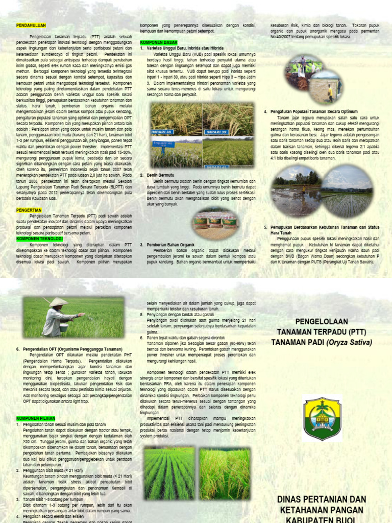 Leaflet PTT Padi | PDF