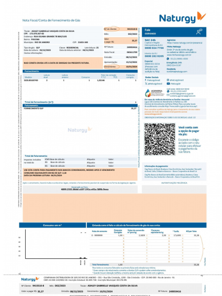 Fatura 249959416 | PDF