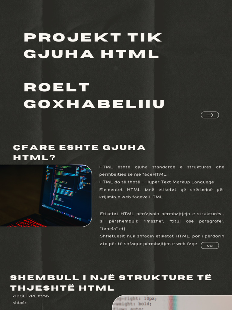 Projekt Tik Roelt | PDF