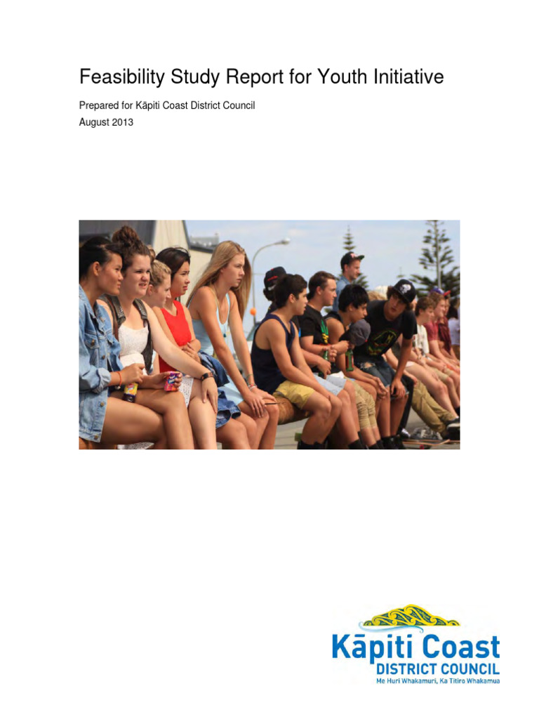 Feasibility Study Report For Youth Initiative | PDF | Focus Group | Interview