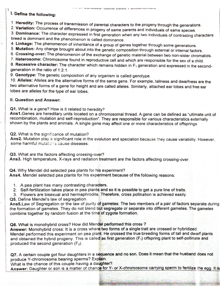 Biology Genetics | PDF