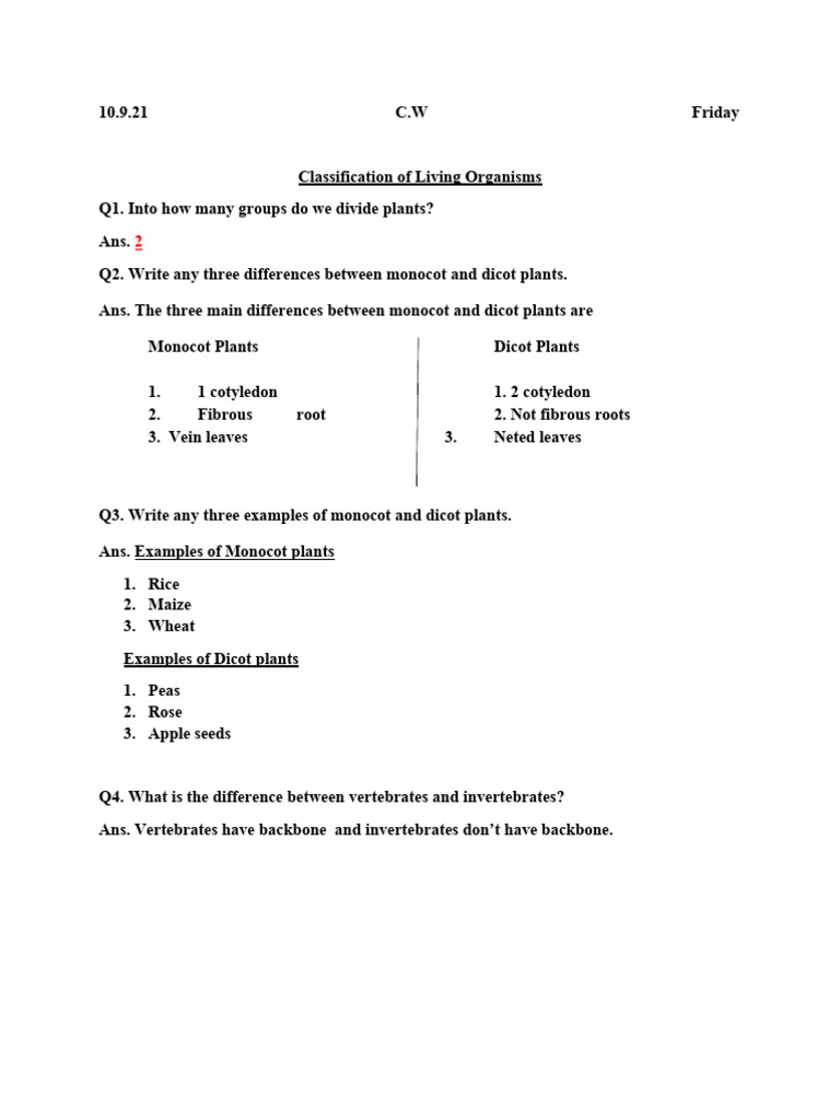 Aabis Science Work Chapter 1 | PDF
