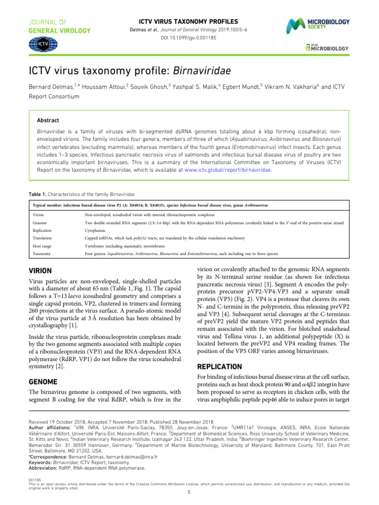 Birnaviridae J Gen Virology | PDF | Virus | Biochemistry