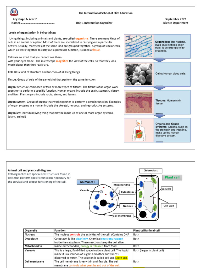 Types of Cells | PDF | Cell (Biology) | Tissue (Biology)