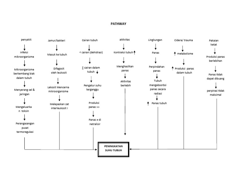Pathway Hipertermi dan Termoregulasi | PDF