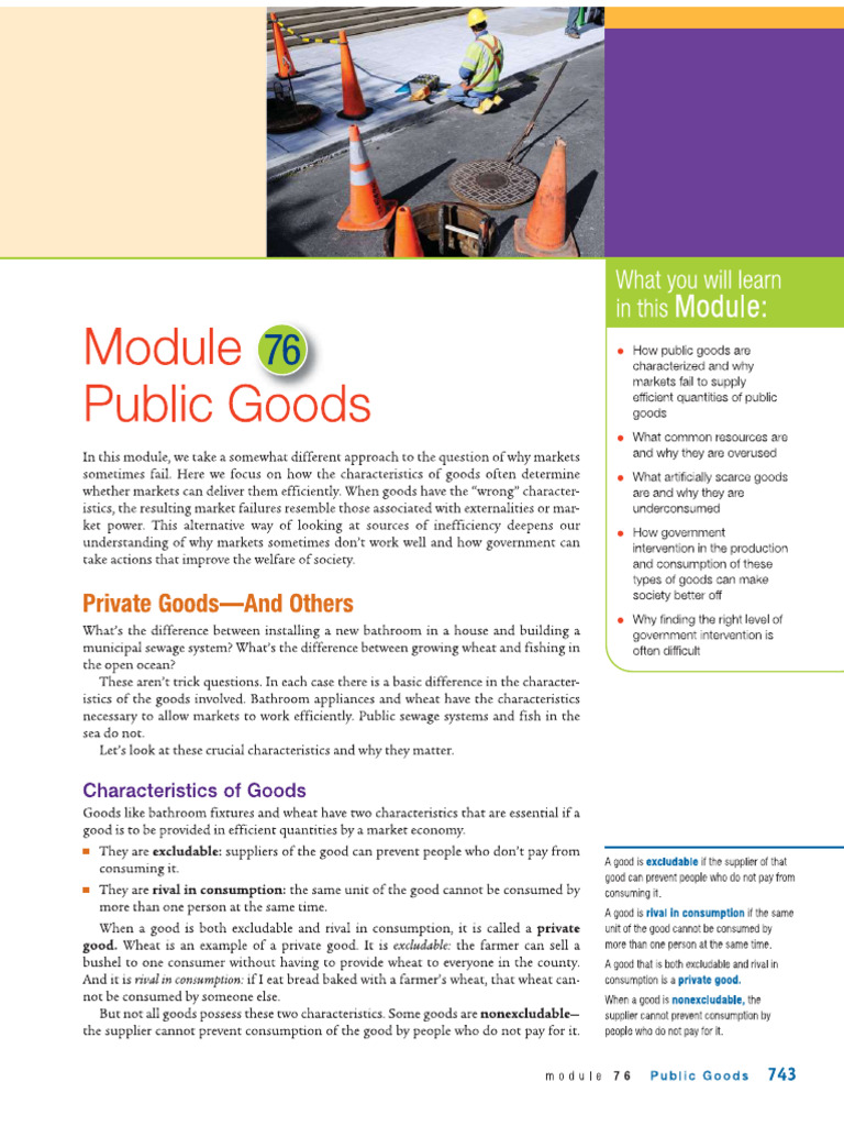 Public Goods-Additional Notes | PDF