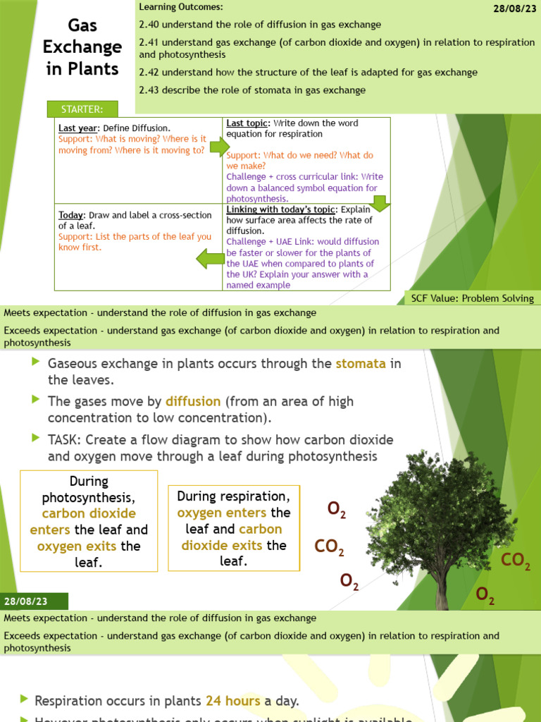 Gas Exchange in Plants | PDF | Stoma | Photosynthesis