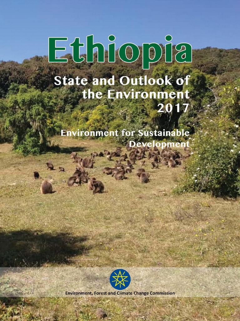 State and Outlook of The Environment | PDF | Agriculture | Environmental Degradation