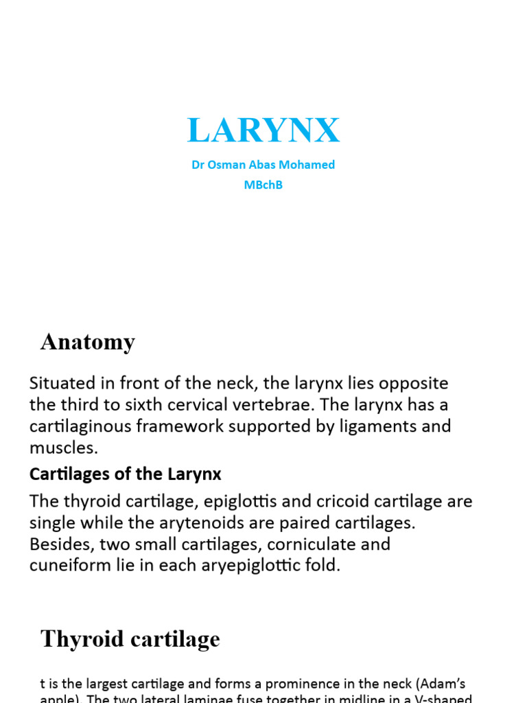 6 Larynx | PDF | Larynx | Human Anatomy