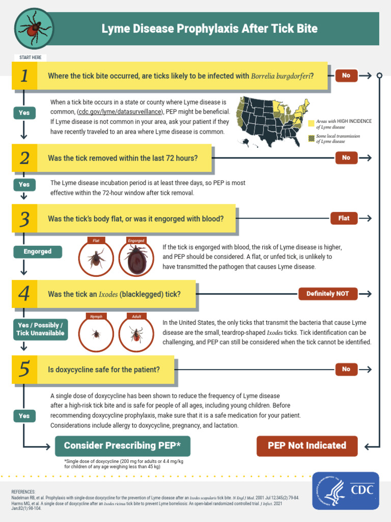 Lyme Post Exposure Prophylaxis | PDF | Lyme Disease | Medical Specialties