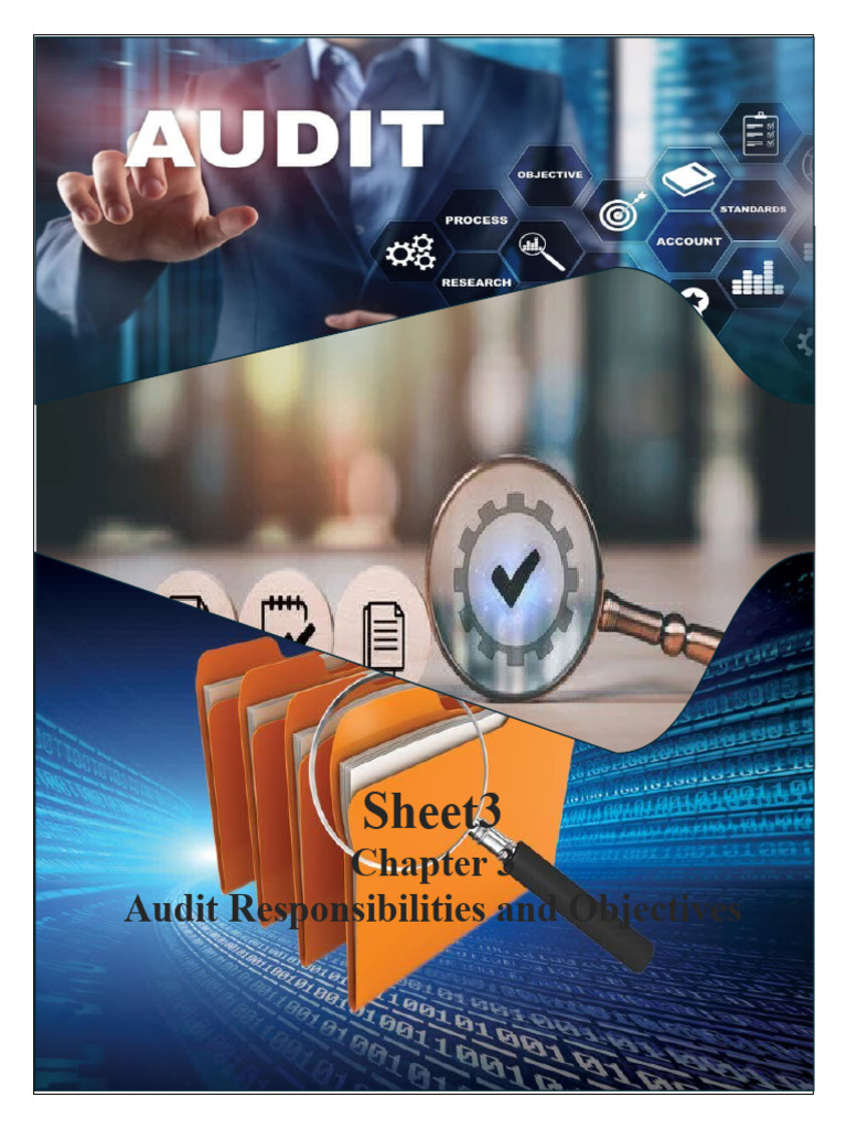 Auditing Sheet3 | PDF