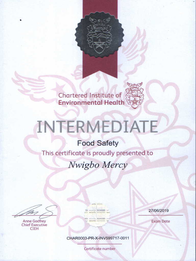 Cieh Level 3 | PDF