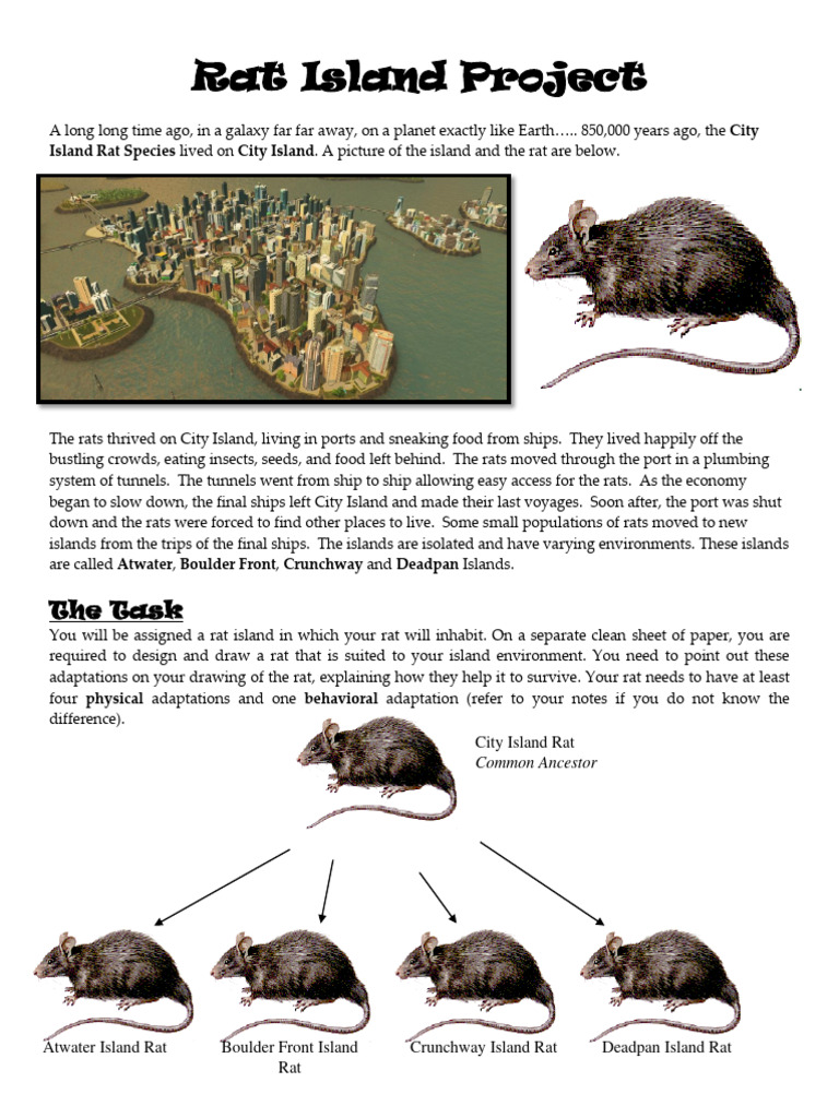 Rat Island Project | Download Free PDF | Adaptation | Arctic