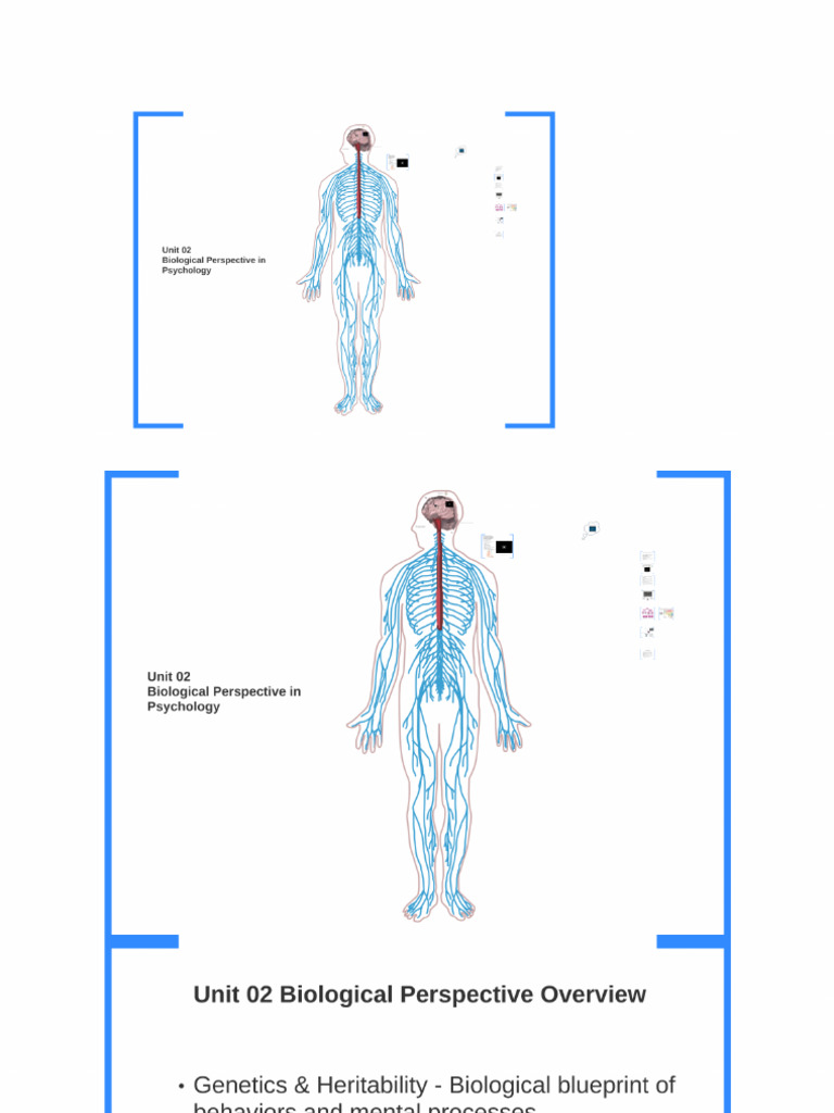 Unit 02 - Biopsychology | PDF