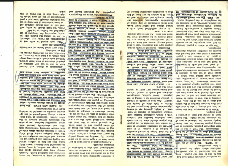 Standard Pages 3-4 | PDF