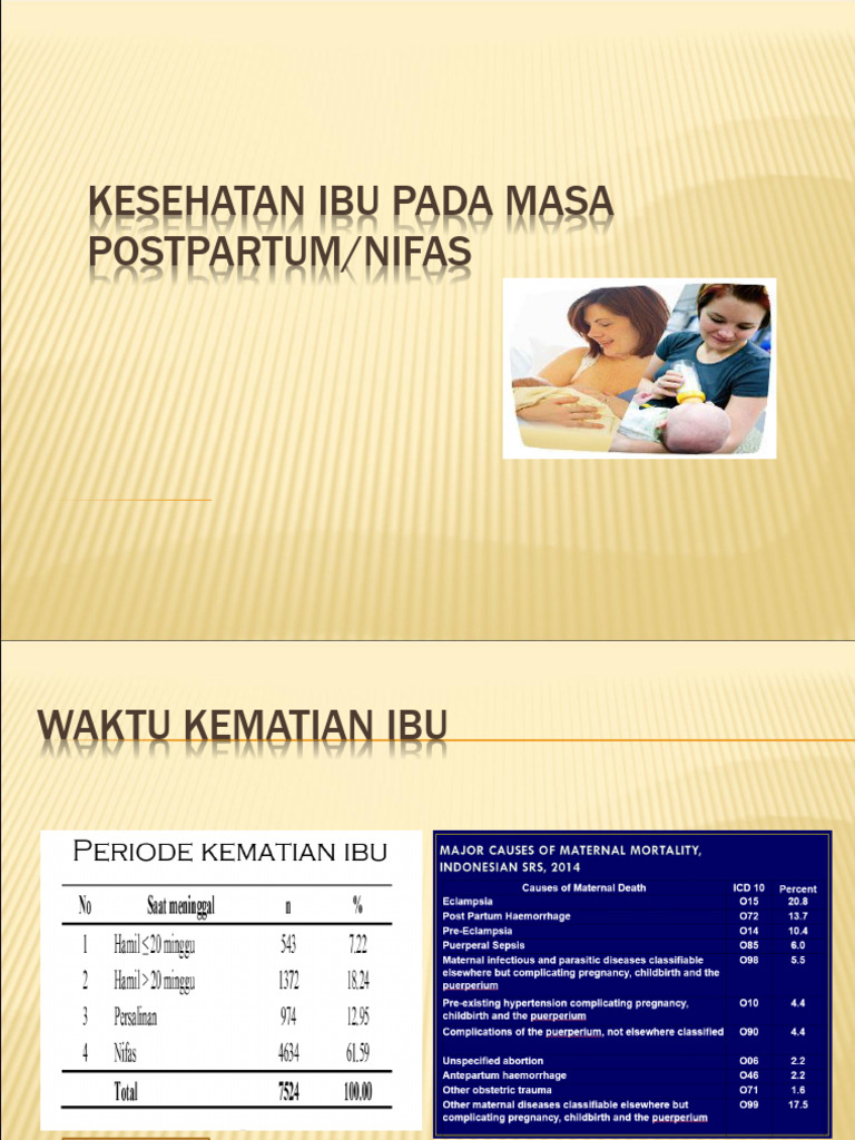 Kesehatan Ibu Nifas: Panduan Lengkap | PDF | Kesehatan Holistik