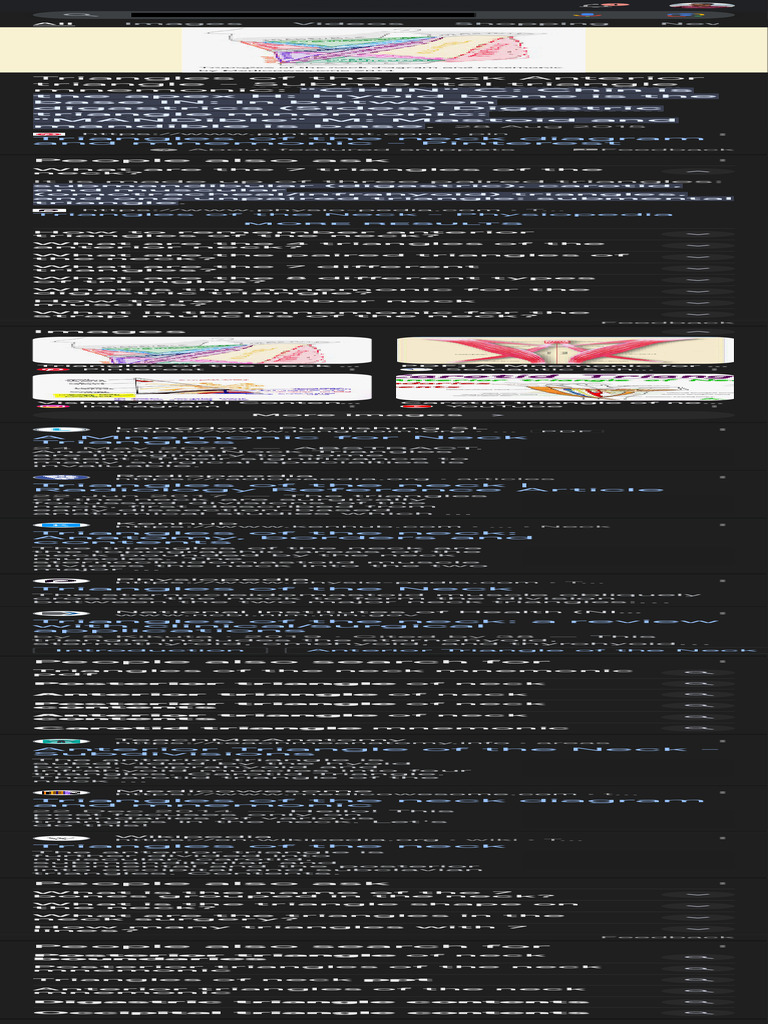 Neck Triangles Mnemonics Guide | PDF | Neck | Human Anatomy