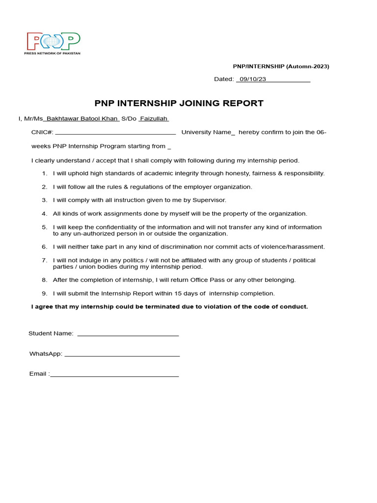 PNP Internship Joining Report (Automn2023) | PDF