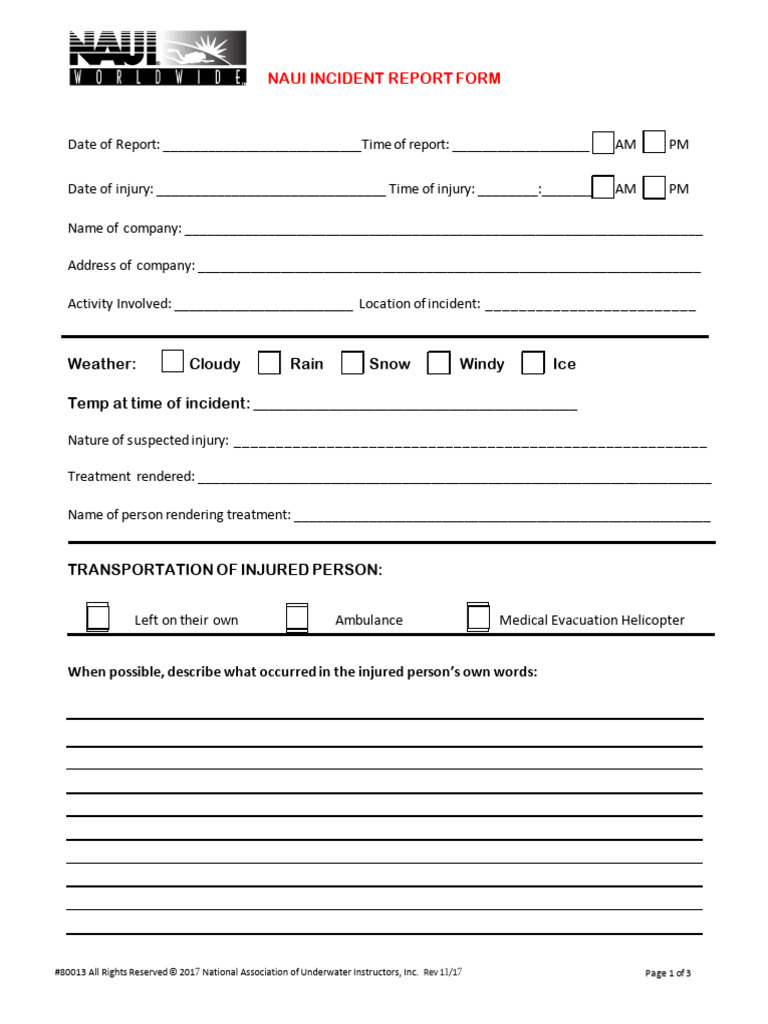 Naui Incident Report | PDF