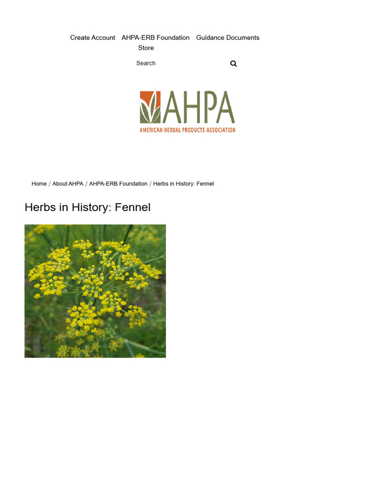 Ancient Uses of Fennel | PDF | Fennel