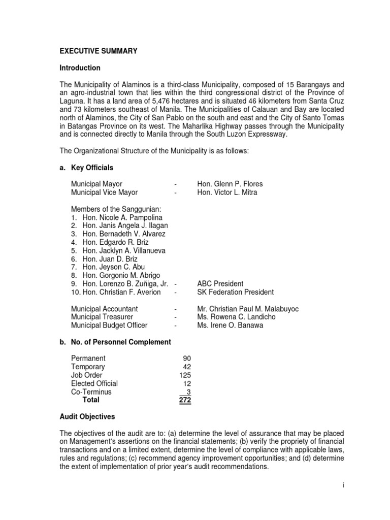 Alaminos Executive Summary 2022 | PDF | Revenue | Expense Alaminos Executive Summary 2022 | PDF | Revenue | Expense