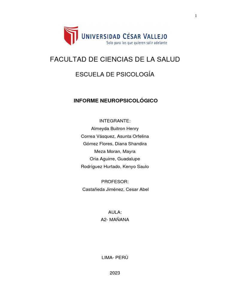 Informe Neuropsicológico de Joymar Eguía | PDF | Depresión (estado de ...
