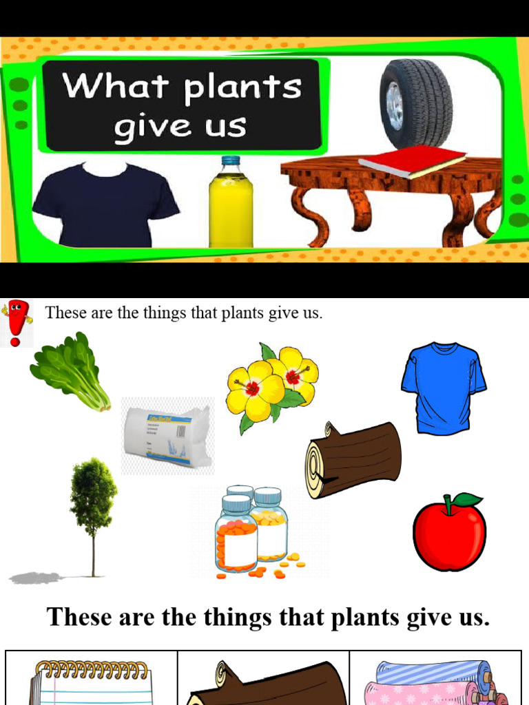 Benefits and Needs of Plants | PDF