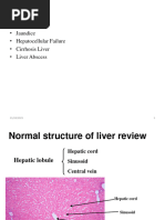 Councilman body in human biology - Wikipedia | PDF | Apoptosis | Liver