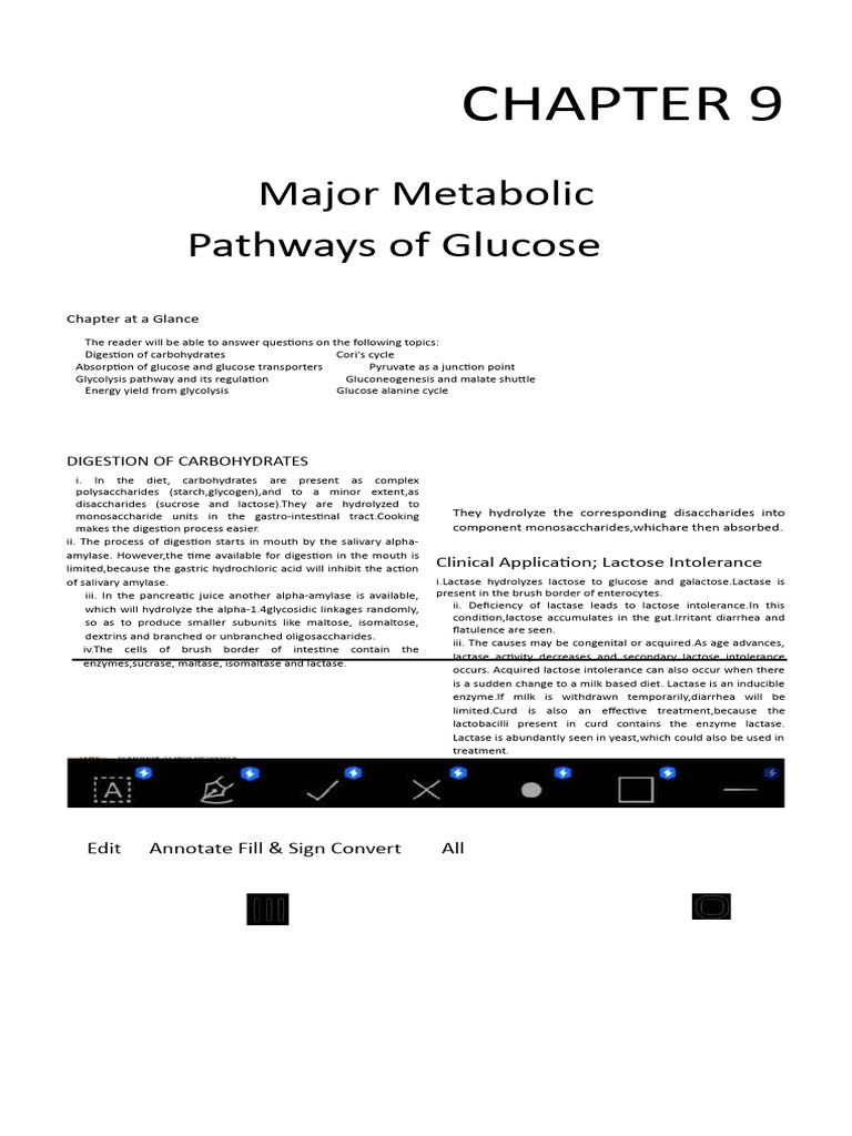 Biochem Git | PDF | Glycolysis | Pyruvic Acid