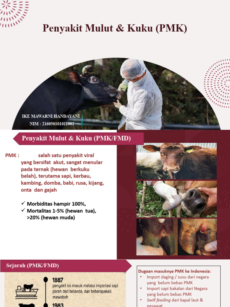 Foot and Mouth Disease (FMD) | PDF