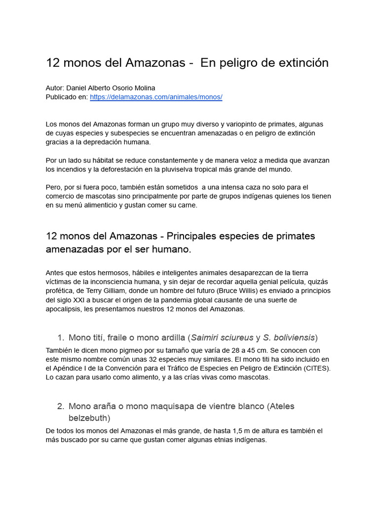 12 Monos Del Amazonas | Descargar gratis PDF | Zoología | Mono