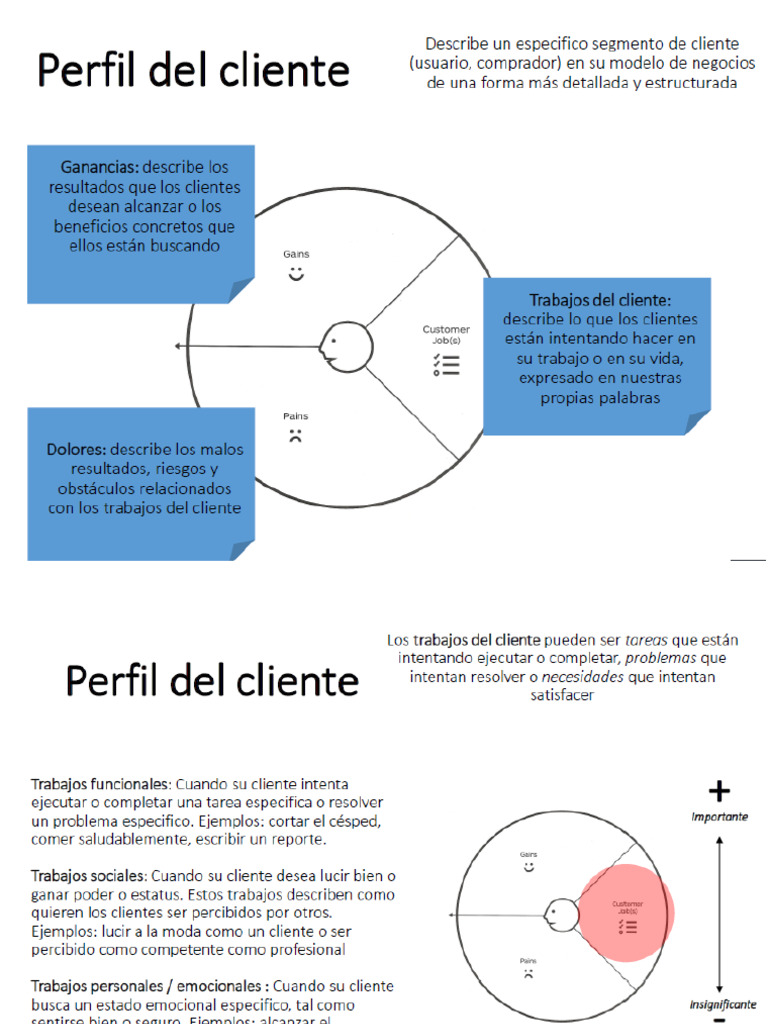 1.1 Perfil Del Cliente | PDF