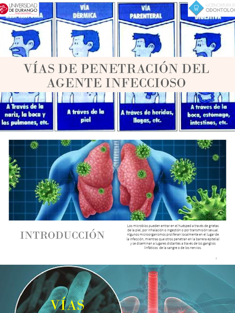 Vías de Penetración Del Agente Infeccioso | PDF | Infección | Causas de ...