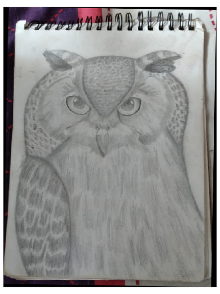 Image Búho To PDF 01-Jun-2024 | PDF