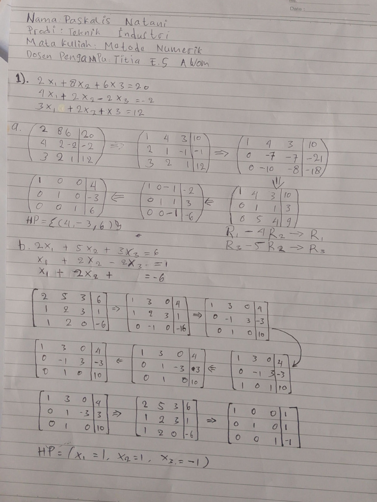 Paskalis Natani | PDF