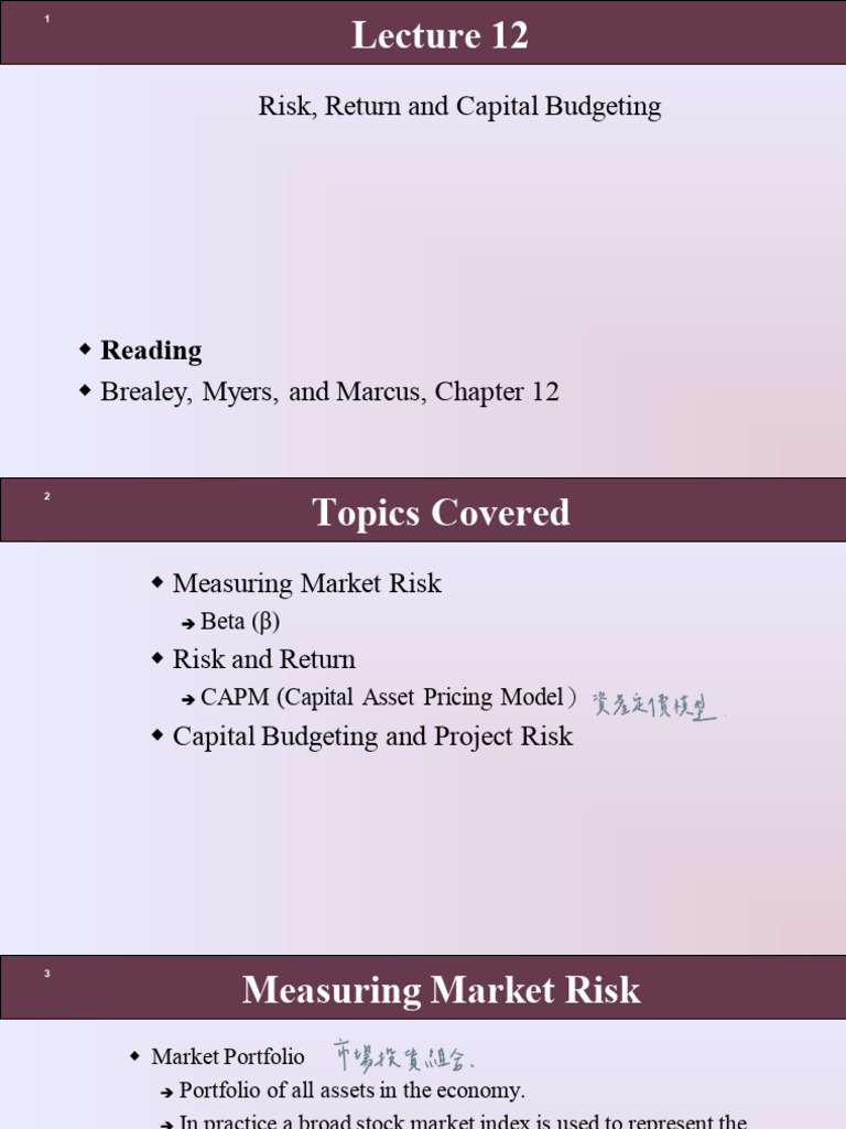 Lec 12 Handout | PDF | Capital Asset Pricing Model | Beta (Finance)