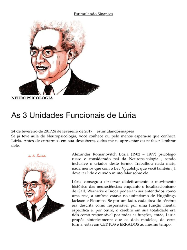 Unidades Funcionais de Lúria na Neuropsicologia | PDF | Córtex cerebral ...