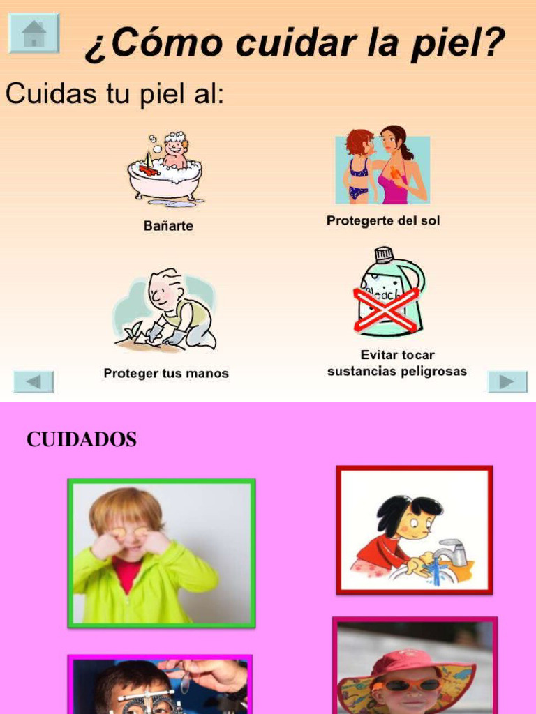 Cuidado de Los 5 Sentidos Ilustrado para Niños | PDF