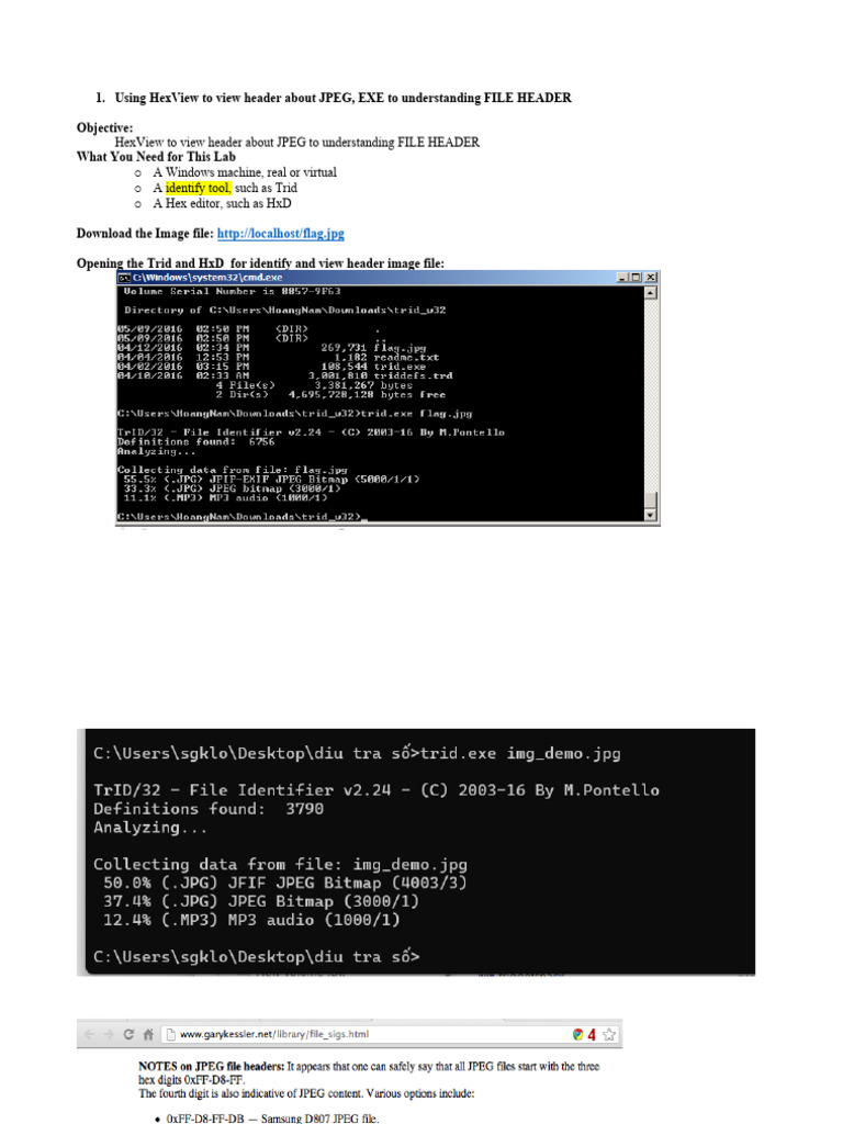 1.2 How To Use Some Tools For Viewing Header File | PDF | Computer Data | Software