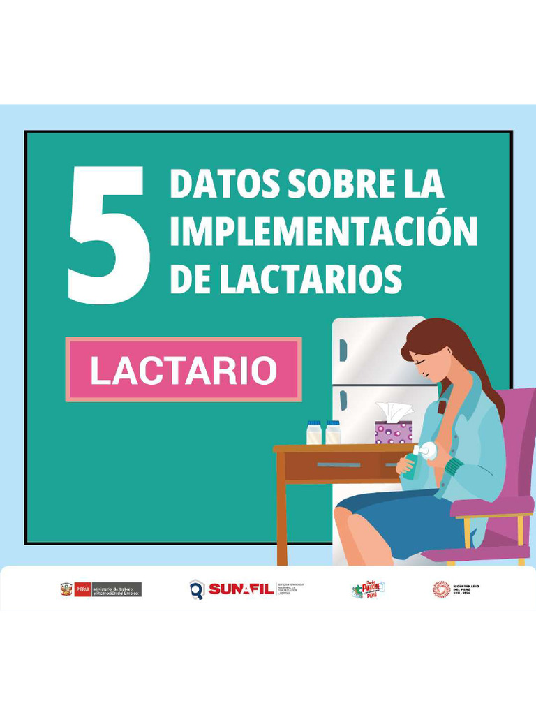 Implementación De Lactarios Pdf