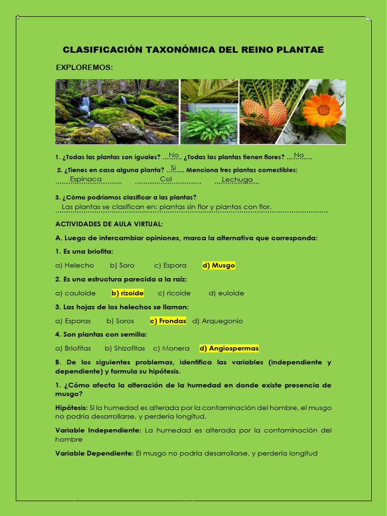 Tema 02 - Clasificación Taxonómica Del Reino Plantae | PDF | Ciencia y ...